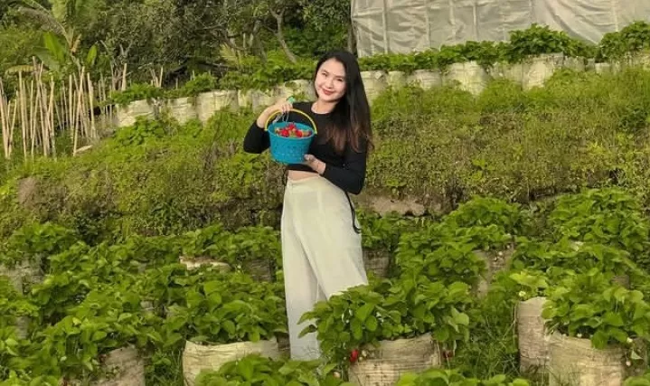 7 Rekomendasi Destinasi Wisata Gratis di Bogor untuk Long Weekend Ini ...